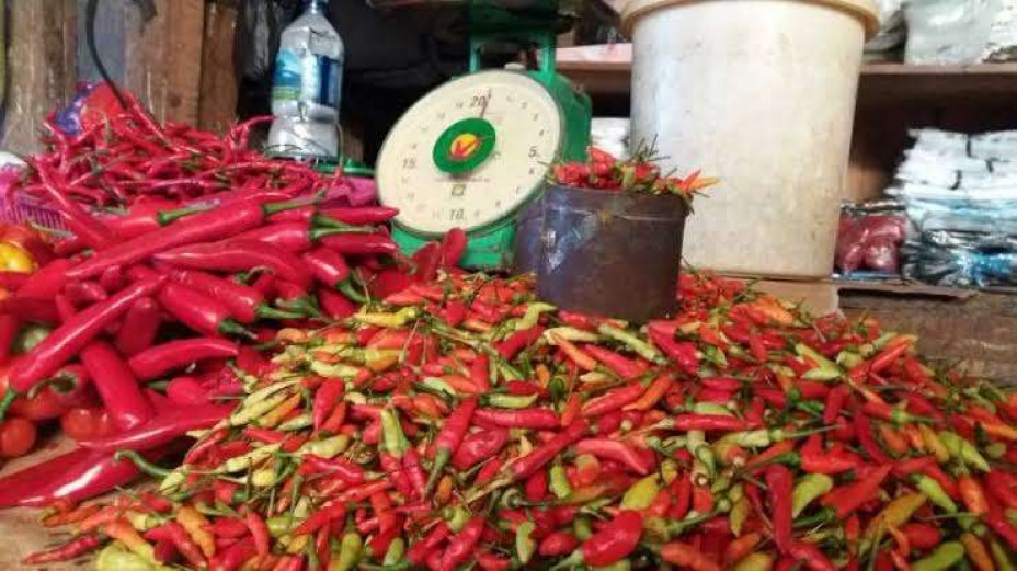 Harga Cabai Rawit di Balikpapan Tembus Rp100 Ribu/Kg