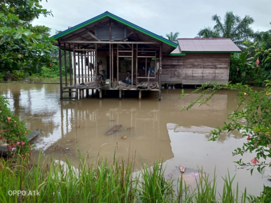 DAS Telake di Long Kali Meluap, BPBD Paser Imbau Warga di Pinggiran Sungai Waspada