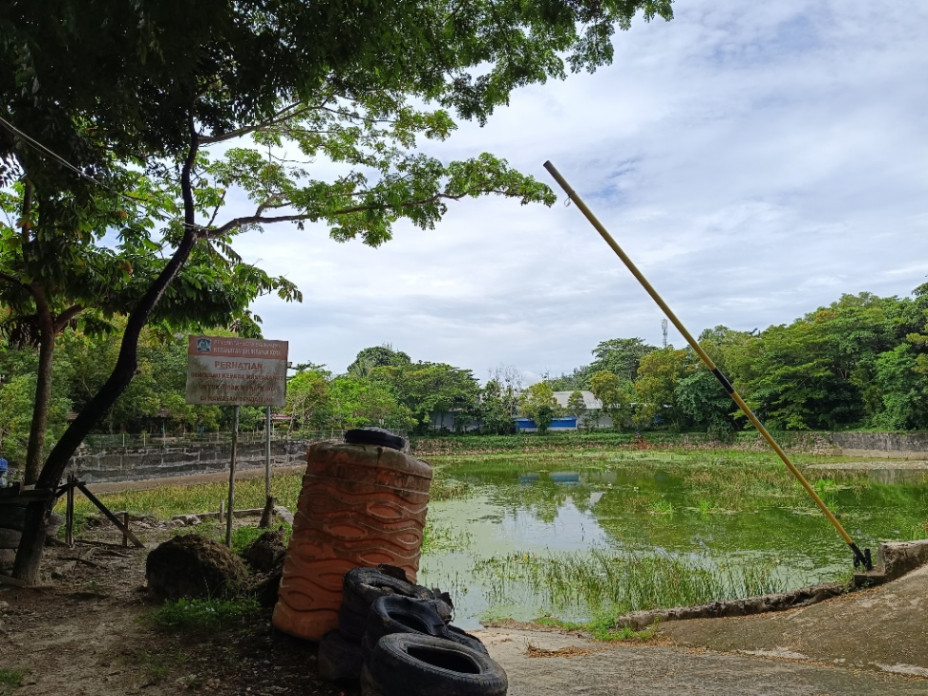 Waduk Telaga Sari Balikpapan Tak Terurus, Permukaan Air Tertutup Rumput ...